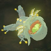 TotK Compendium